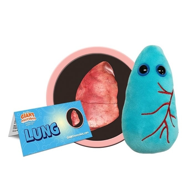Lung - Welcome to Stortz Toys